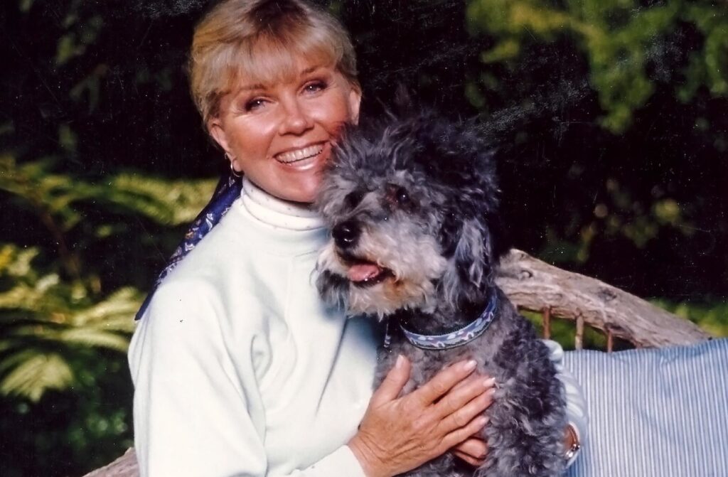 Doris Day Animal Foundation - Ways to Give - DCN News
